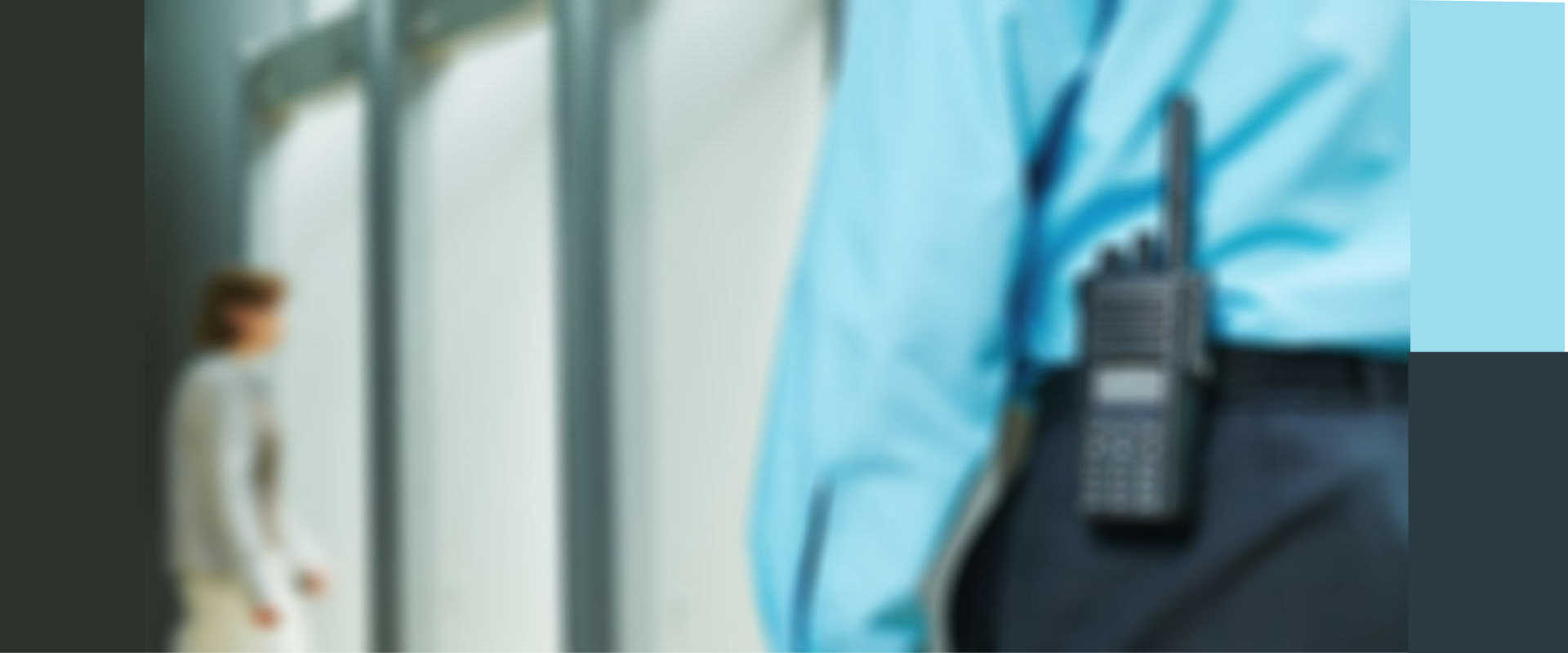 We Teleguard / Personal, Home & businesses protection services